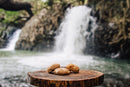Honu Mini Cookie (Single) 1oz – The Maui Cookie Lady
