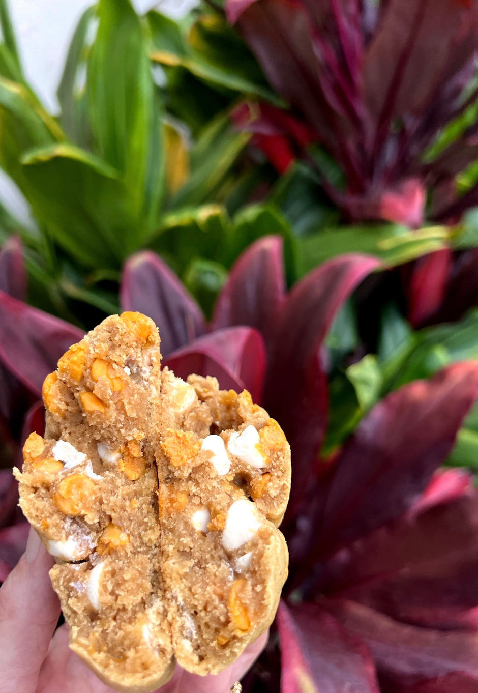All Products – The Maui Cookie Lady