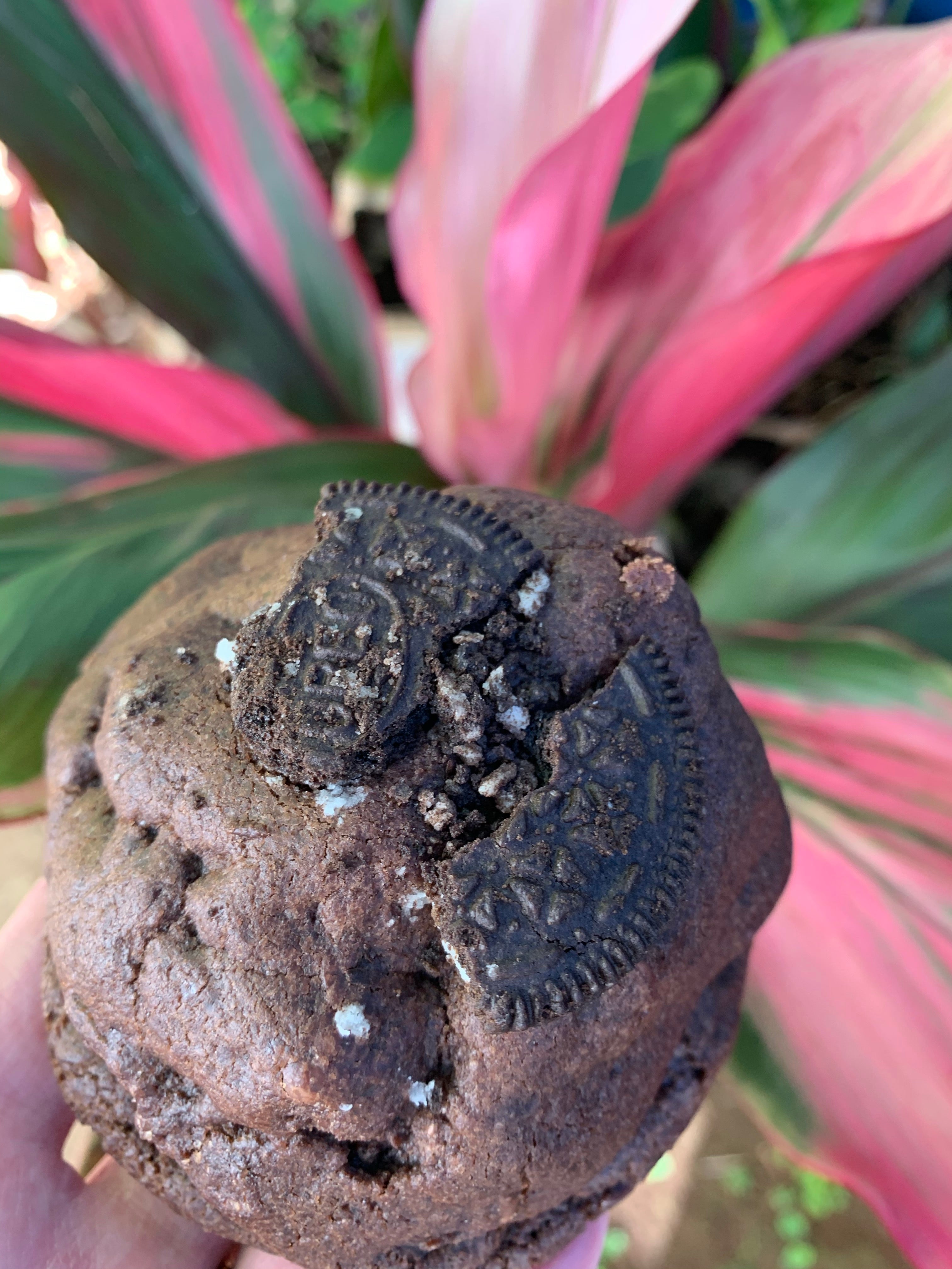 All Products – The Maui Cookie Lady